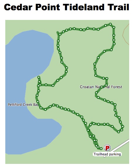 Hikes You Can Do: Cedar Point Tideland Trail Loop - GetGoing NC!